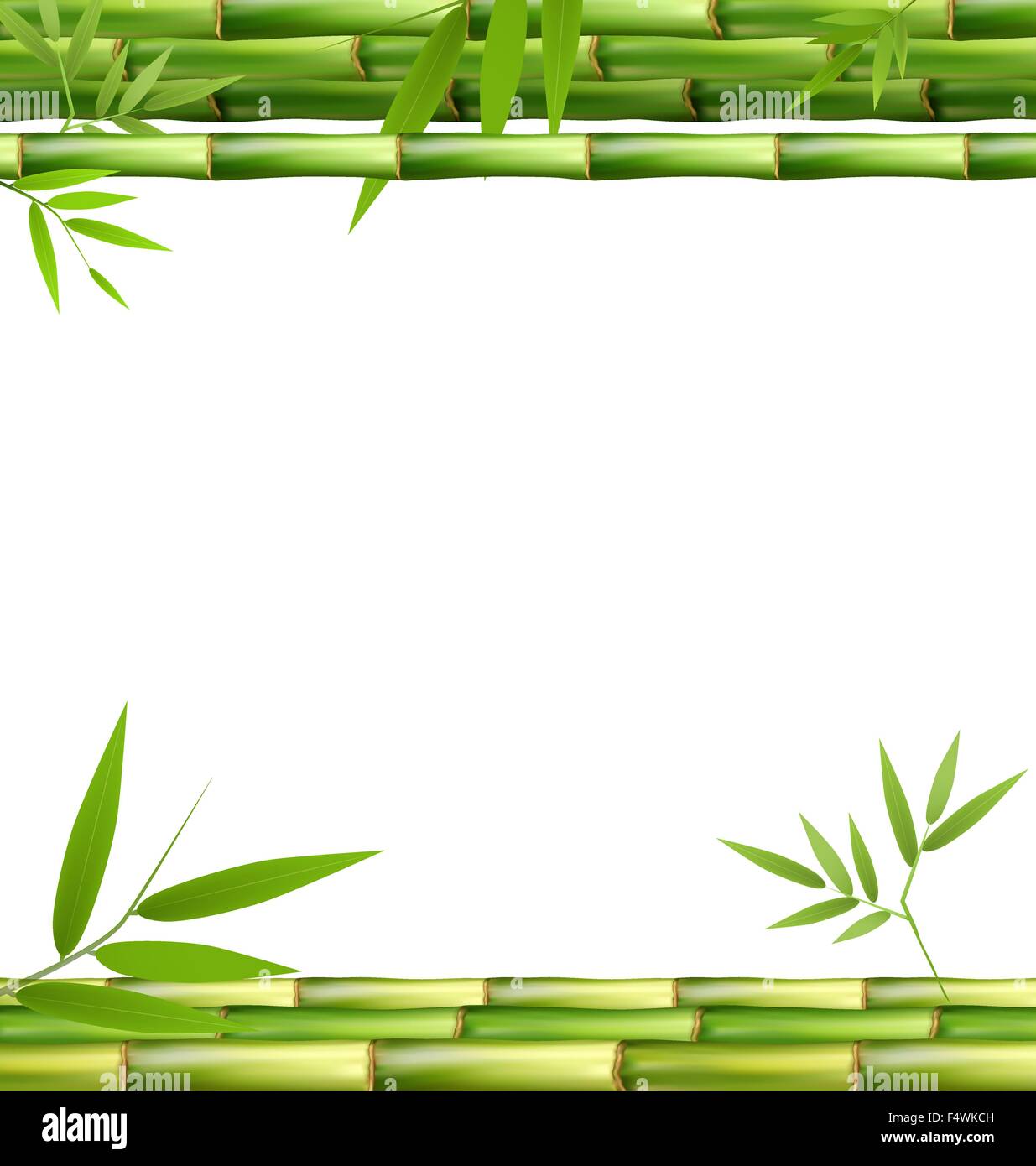 Bamboo grove design Stock Vector Images - Alamy