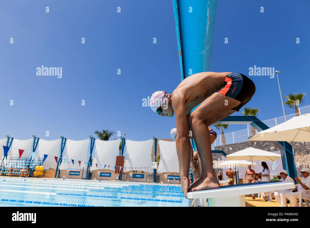 Swimmers ready to dive into the pool at the start of a race Stock Photo ...