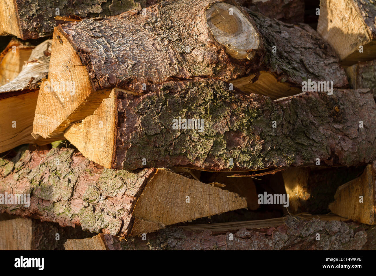 Fire nature wood hi-res stock photography and images - Alamy