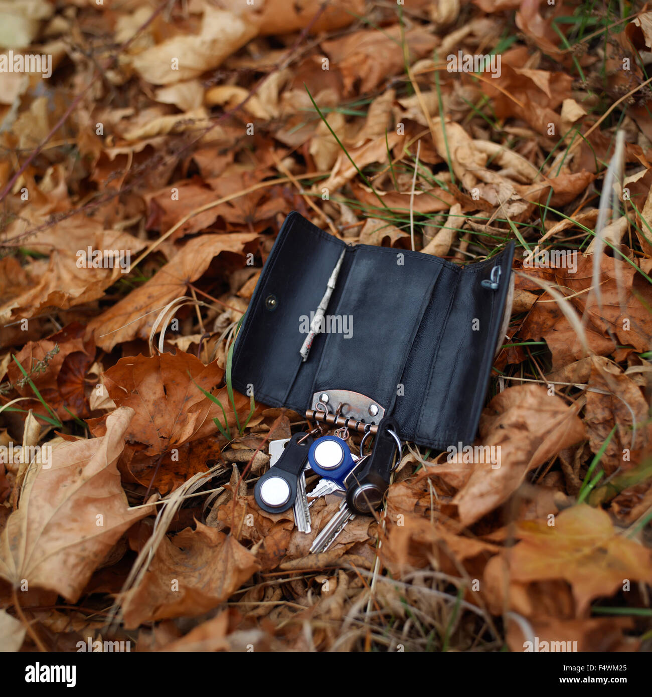 Searching for keys hi-res stock photography and images - Alamy