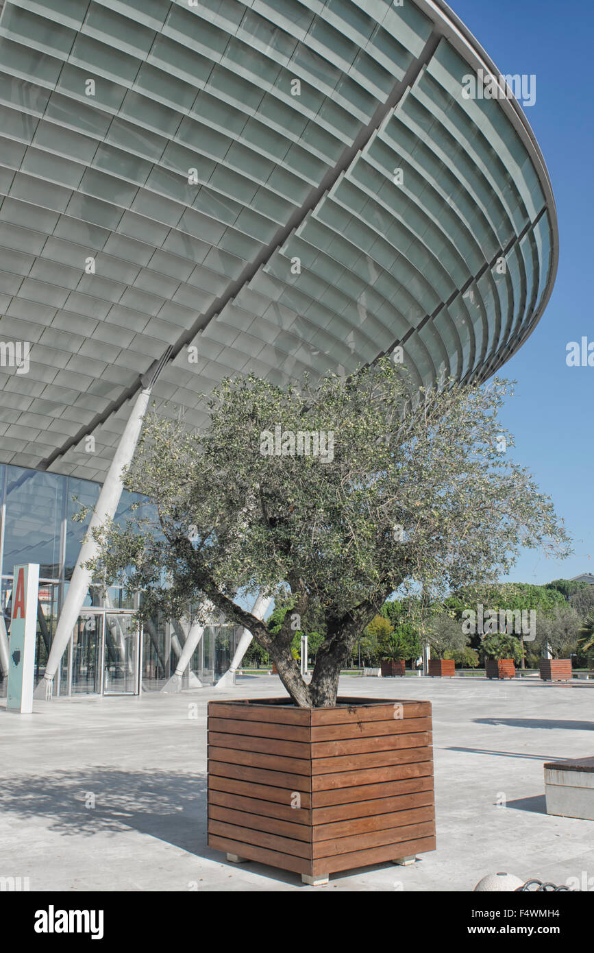 Olive green building hi-res stock photography and images - Alamy