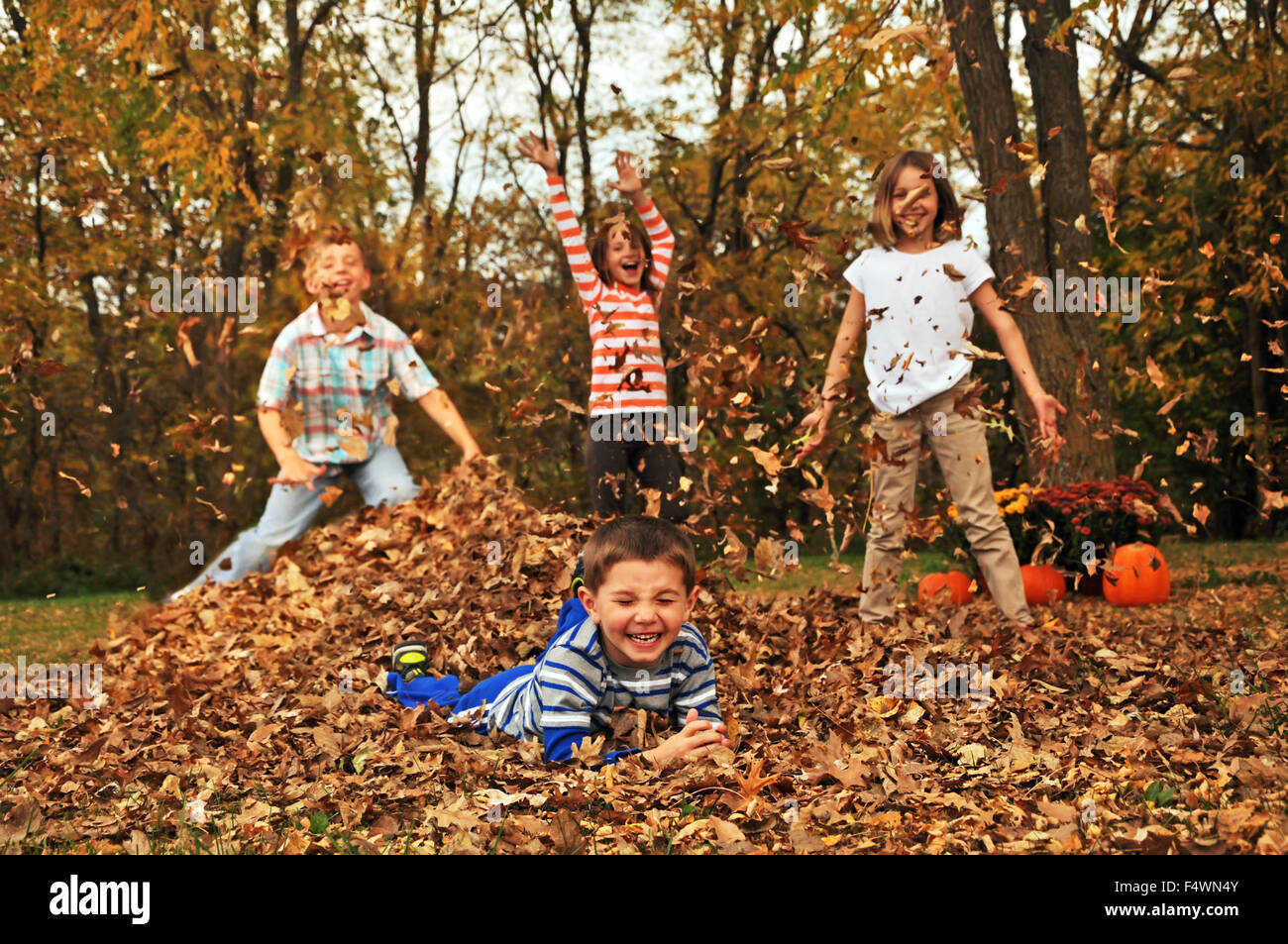 four kids playing in Fall leaf pile Stock Photo - Alamy