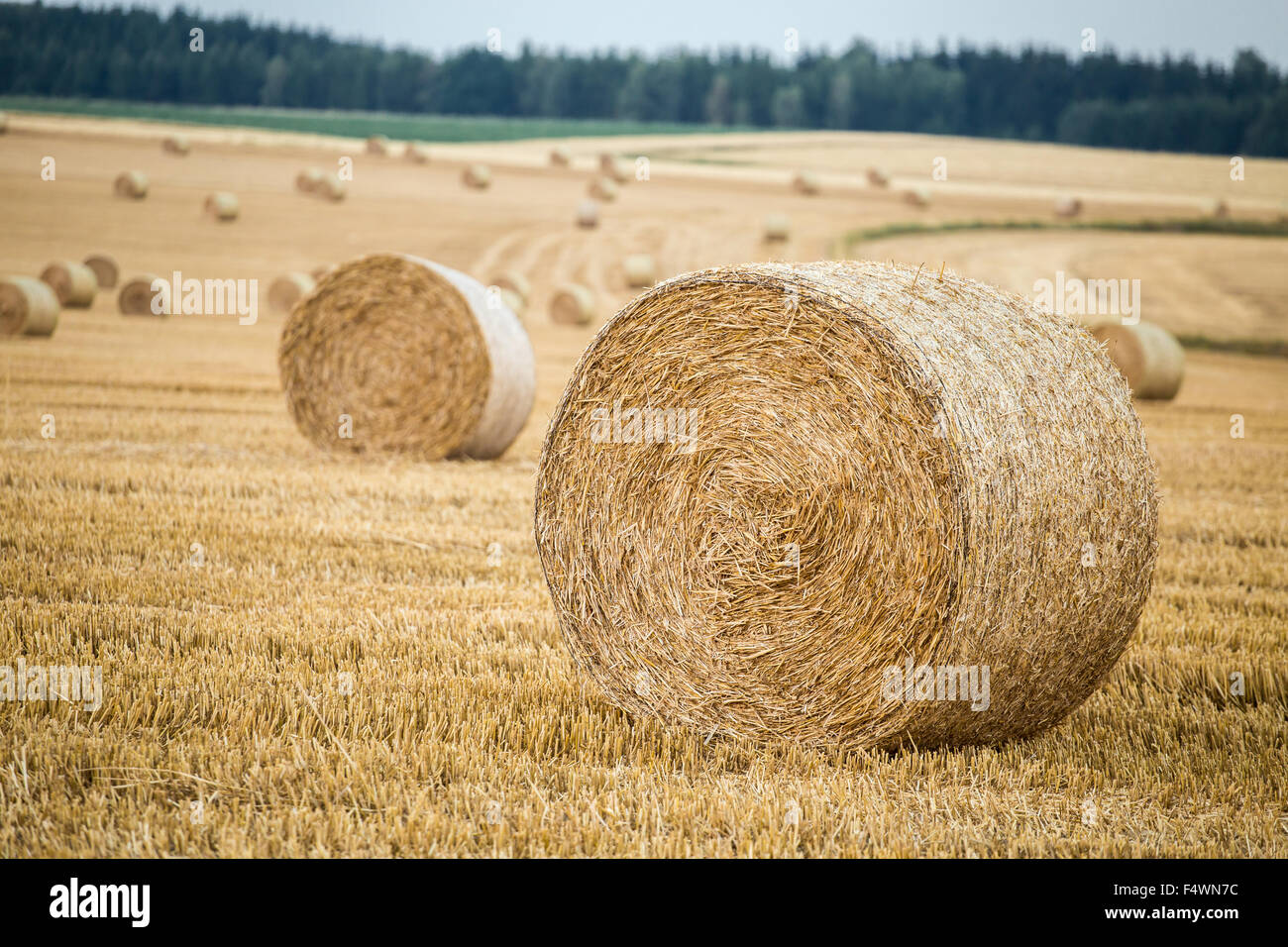 Traditional hay bales hi-res stock photography and images - Alamy