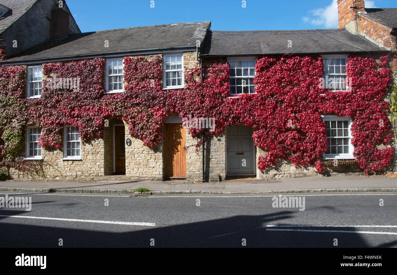 Olney, House Ivy Coved, Buckinghamshire Stock Photo - Alamy