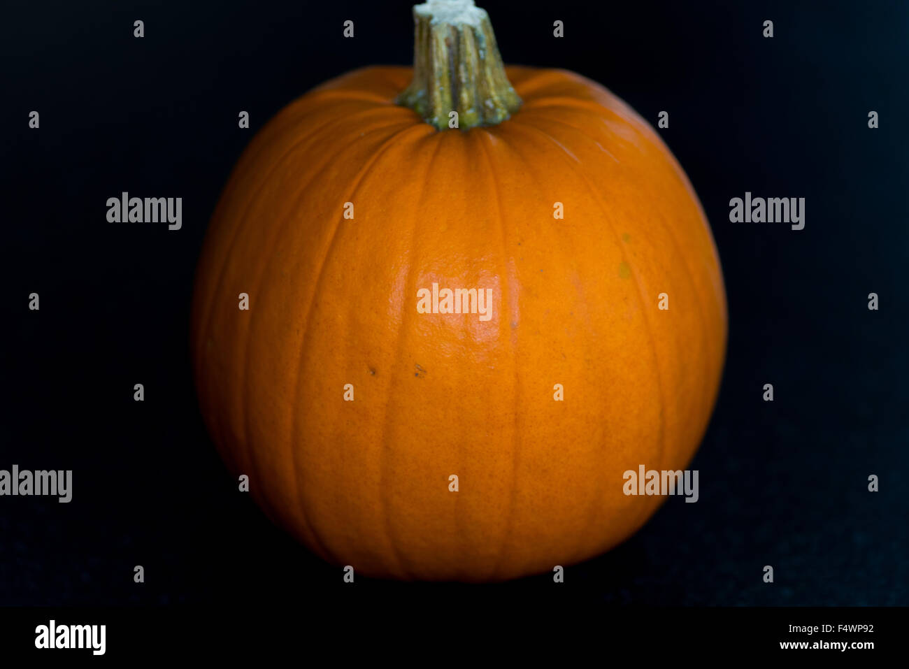 A large pumpkin against a black background Stock Photo - Alamy