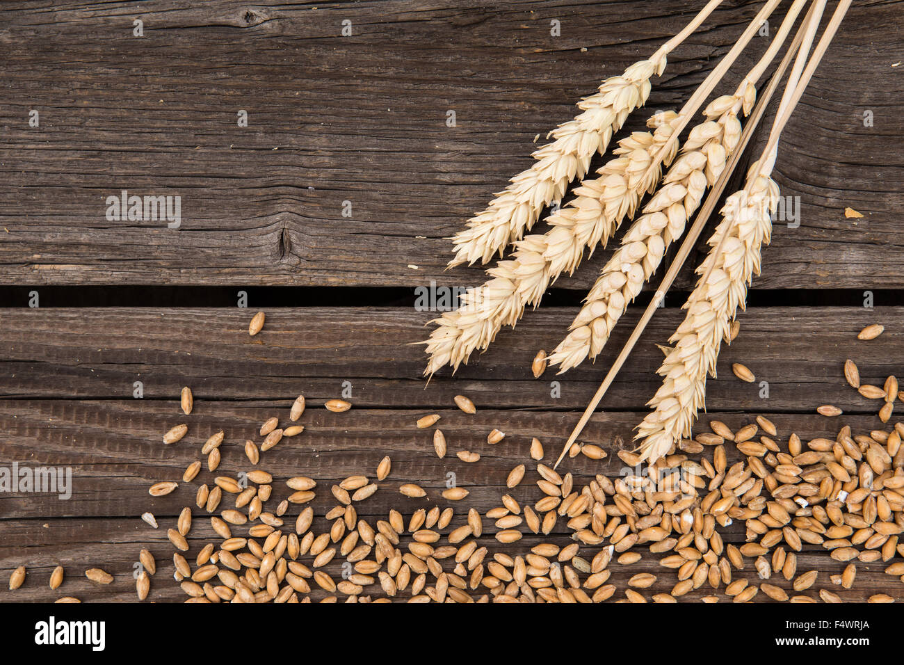 Wheat grain seed sample hi-res stock photography and images - Alamy