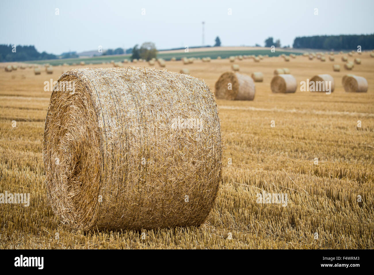 Field hay bales after harvest hi-res stock photography and images - Alamy