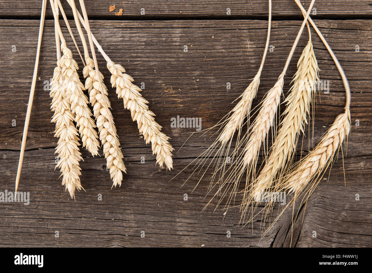 Old wheat harvest hi-res stock photography and images - Alamy