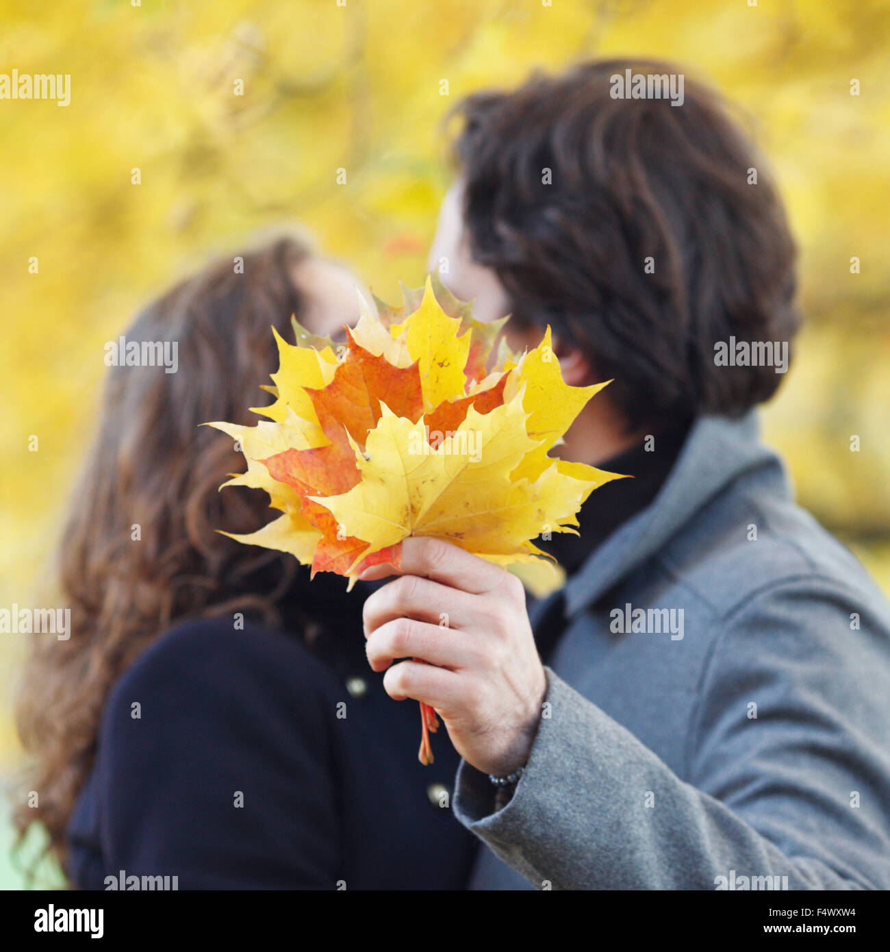 Two beautiful maple leaves hi-res stock photography and images - Alamy