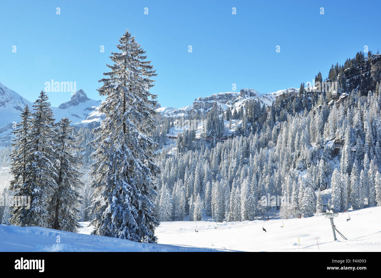 Winter in the Swiss Alps Stock Photo - Alamy