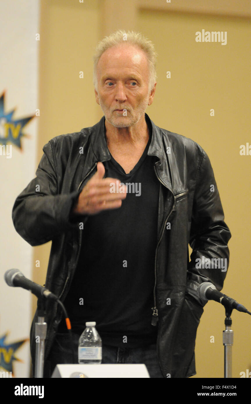 Wizard World Comic Con Chicago 2015 at the Donald E. Stephens ...