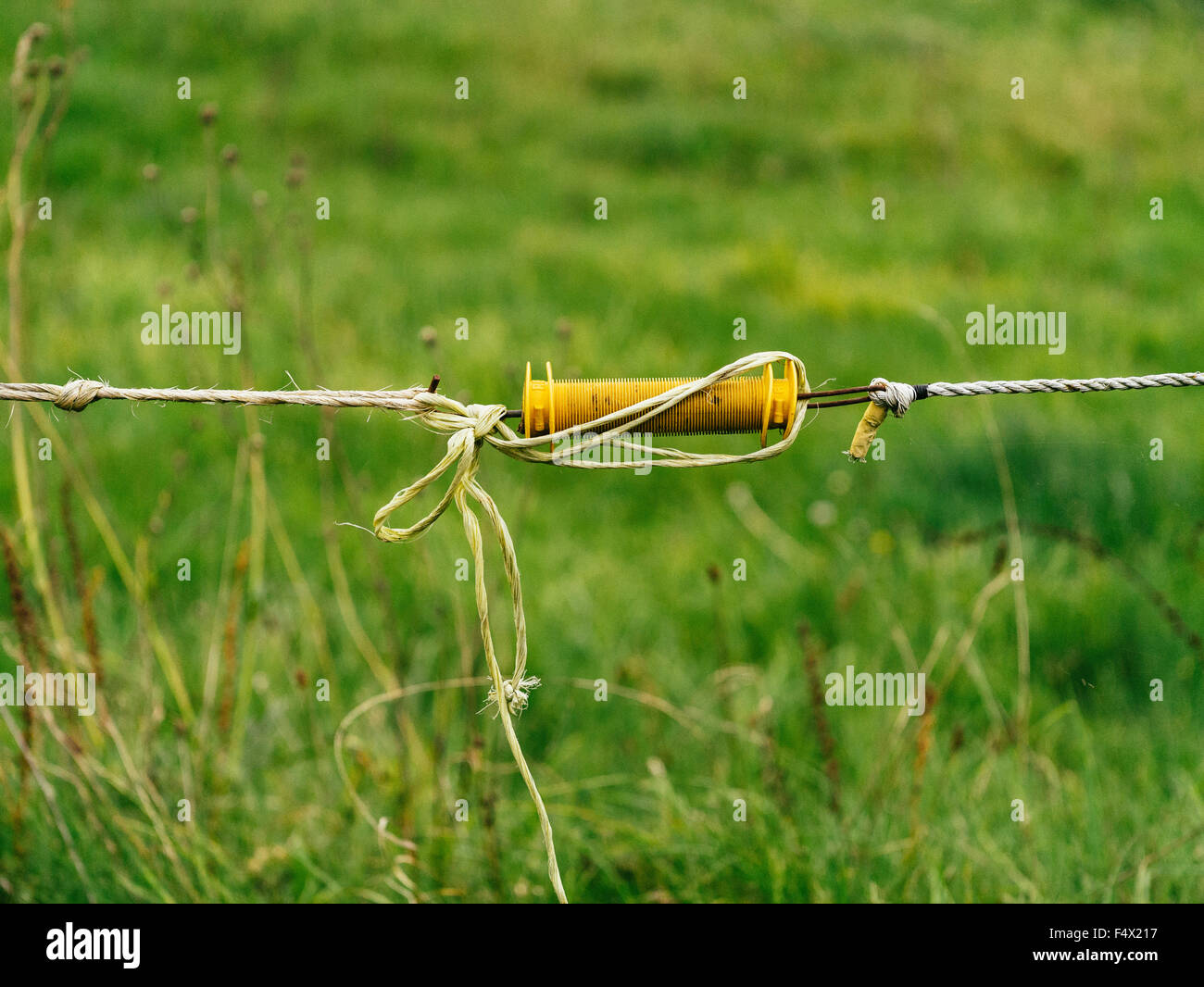 Detail of electric fence in field Stock Photo - Alamy