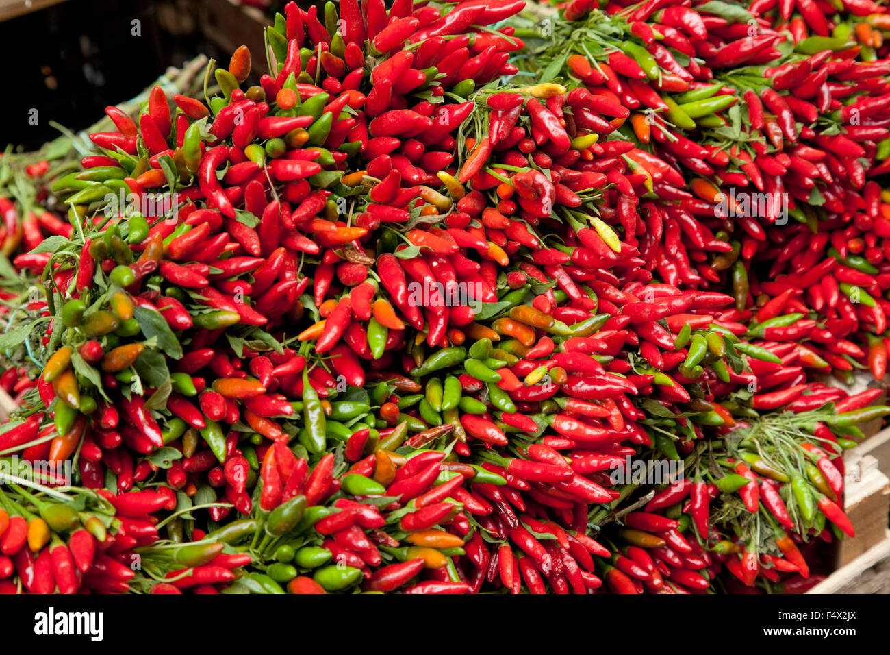 Bunches of chilli peppers for sale, street market, Sorrento, Italy ...
