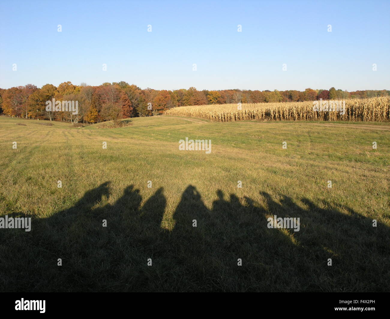 Hayride farm hi-res stock photography and images - Alamy