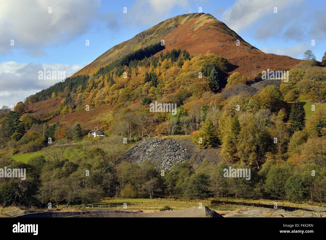 Wales powys llangynog hi-res stock photography and images - Alamy