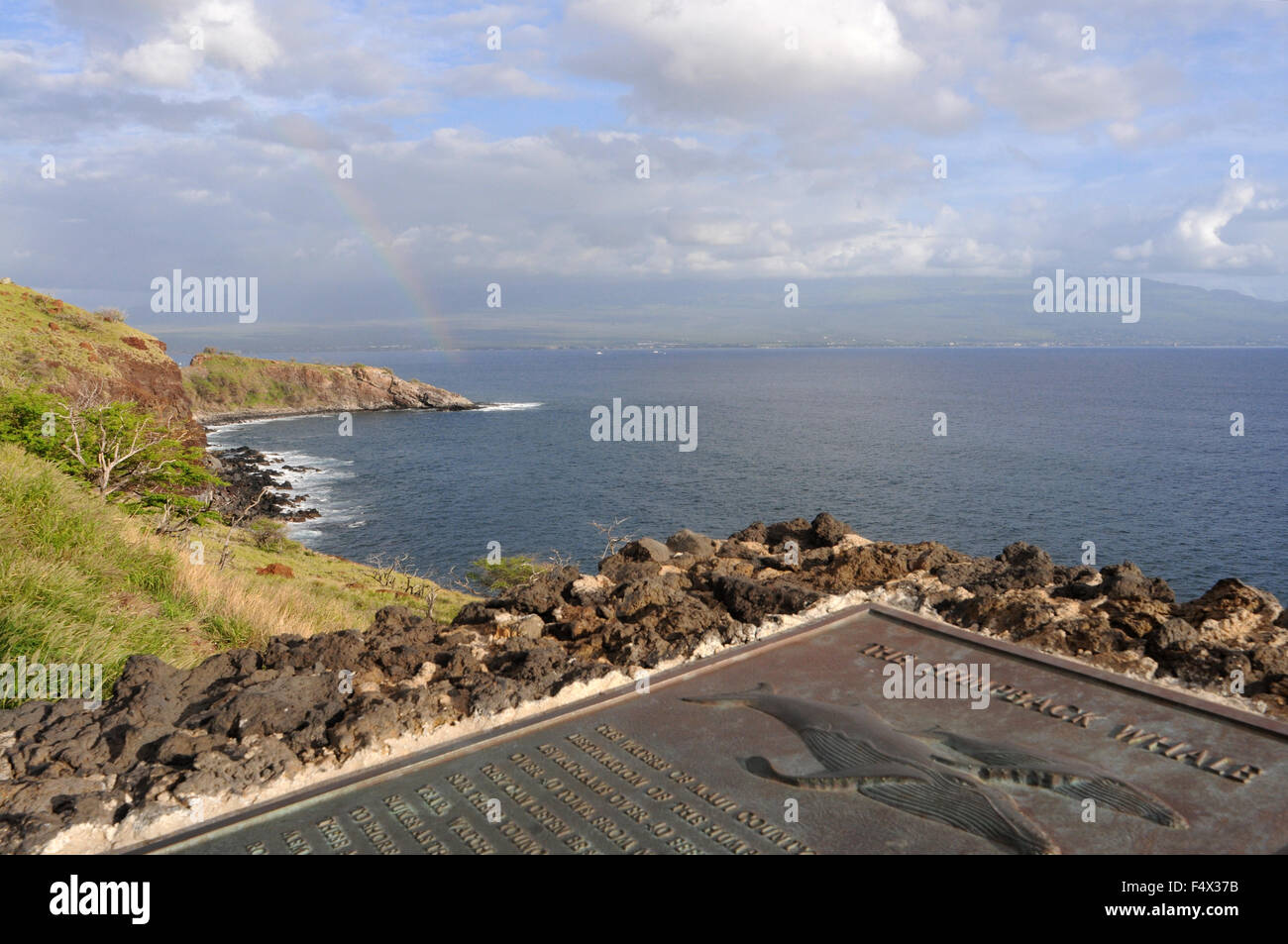 Papawai Point beach. Maui. Hawaii. The Pacific Whale Foundation is ...