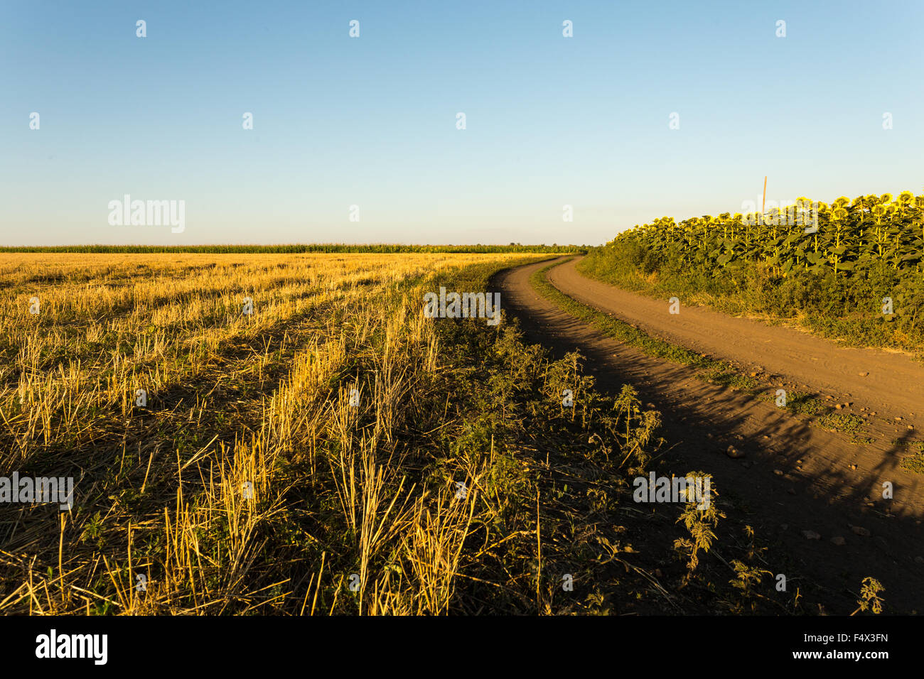 Empty grass field and deep blue sky with clouds hi-res stock ...