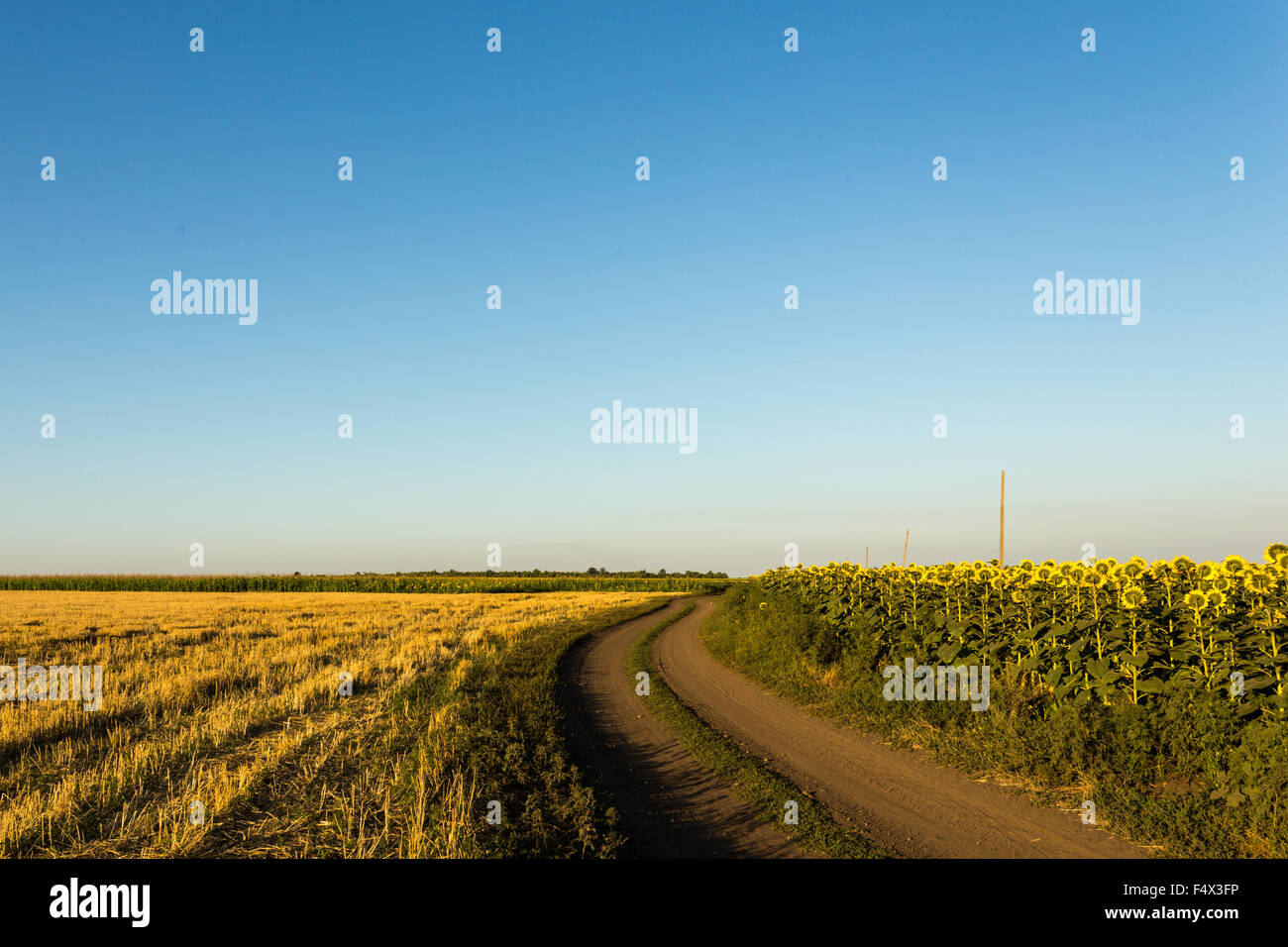 Empty countryside road through the fields Stock Photo - Alamy