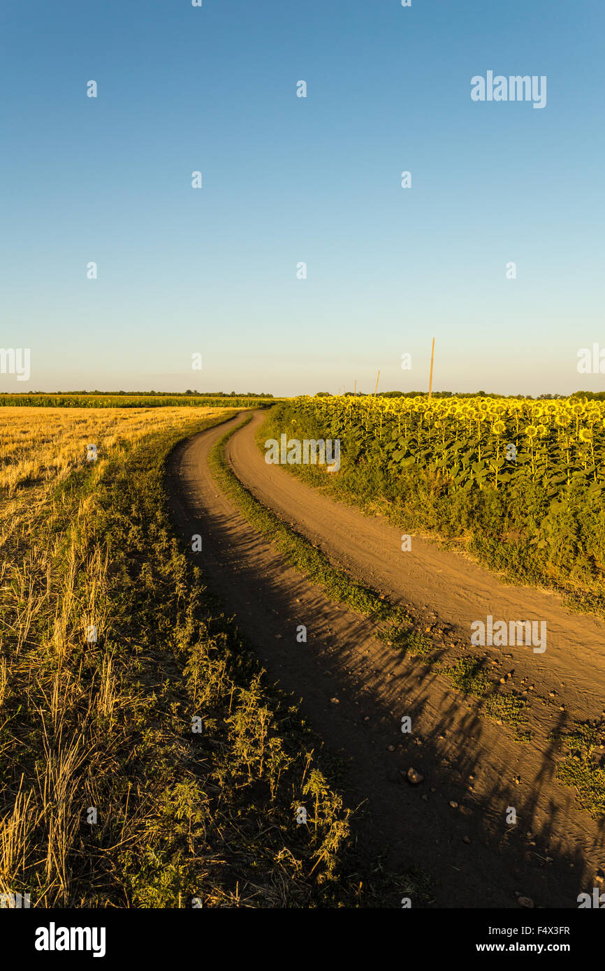 Empty countryside road through the fields Stock Photo - Alamy