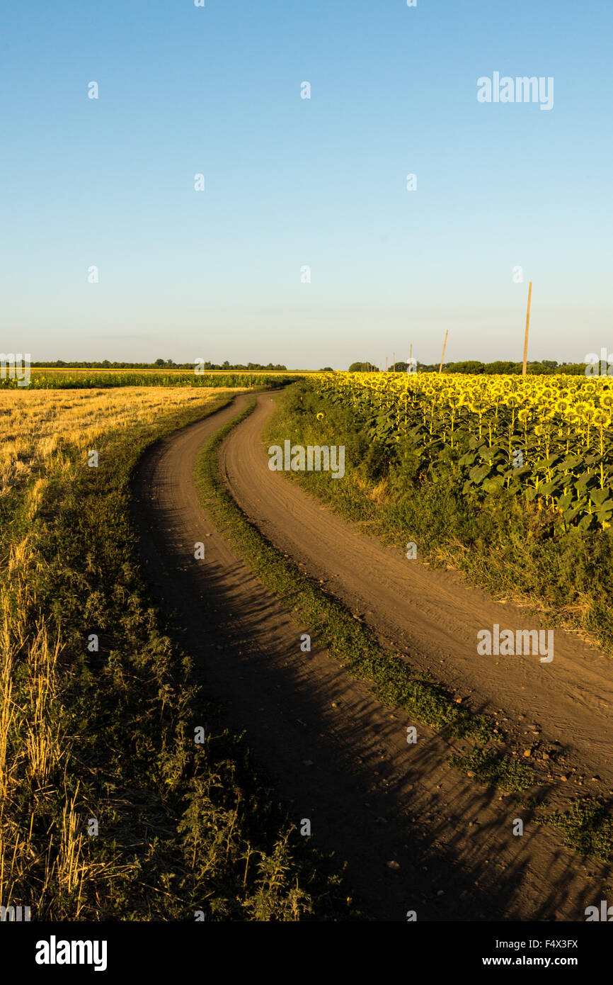 Empty countryside road through the fields Stock Photo - Alamy