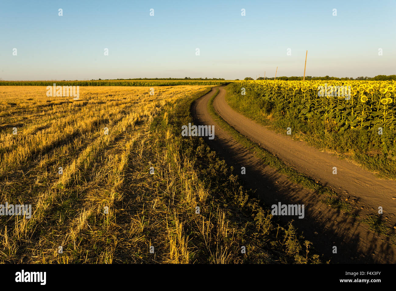 Empty countryside road through the fields Stock Photo - Alamy