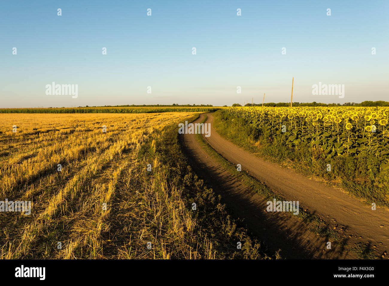 Empty dirt road light hi-res stock photography and images - Alamy