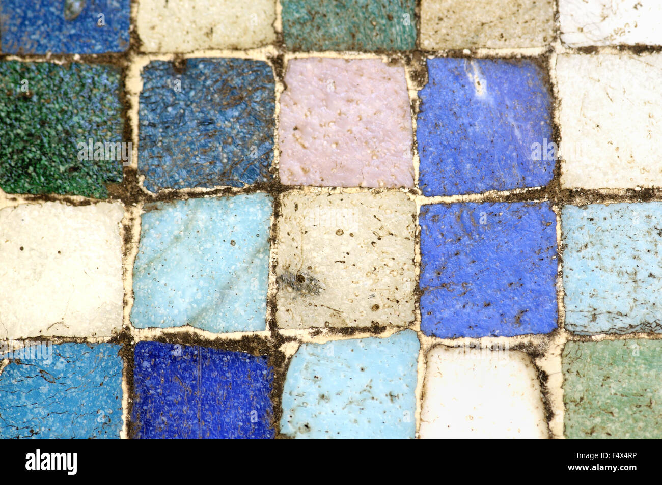 Tessella hi-res stock photography and images - Alamy