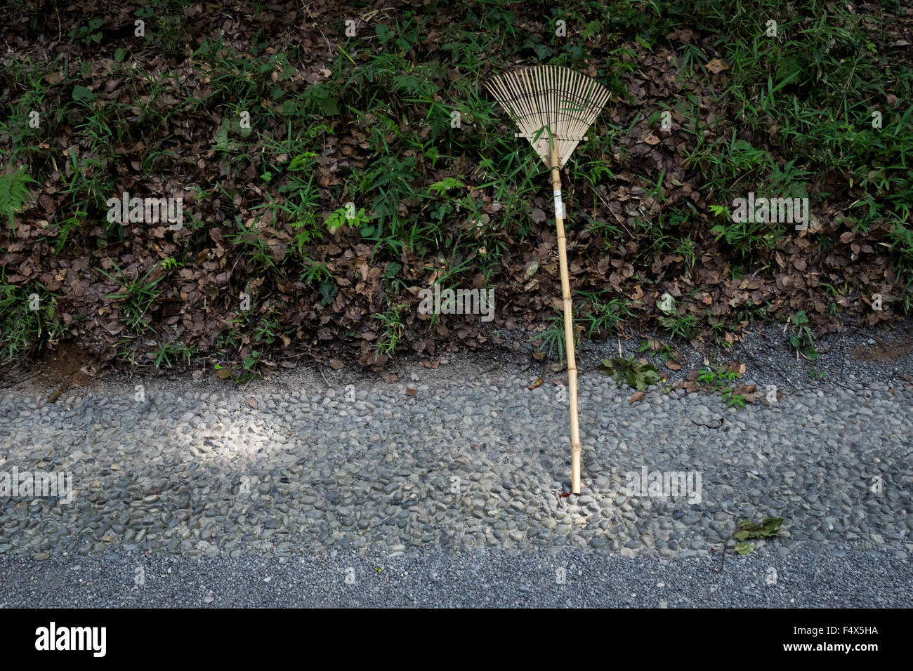 Bamboo rake on a path at a shinto temple in Kyoto, Japan Stock Photo ...