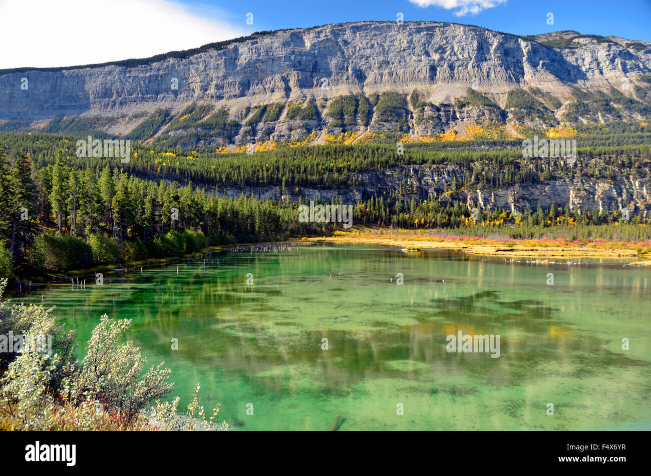 Snaring road hi-res stock photography and images - Alamy