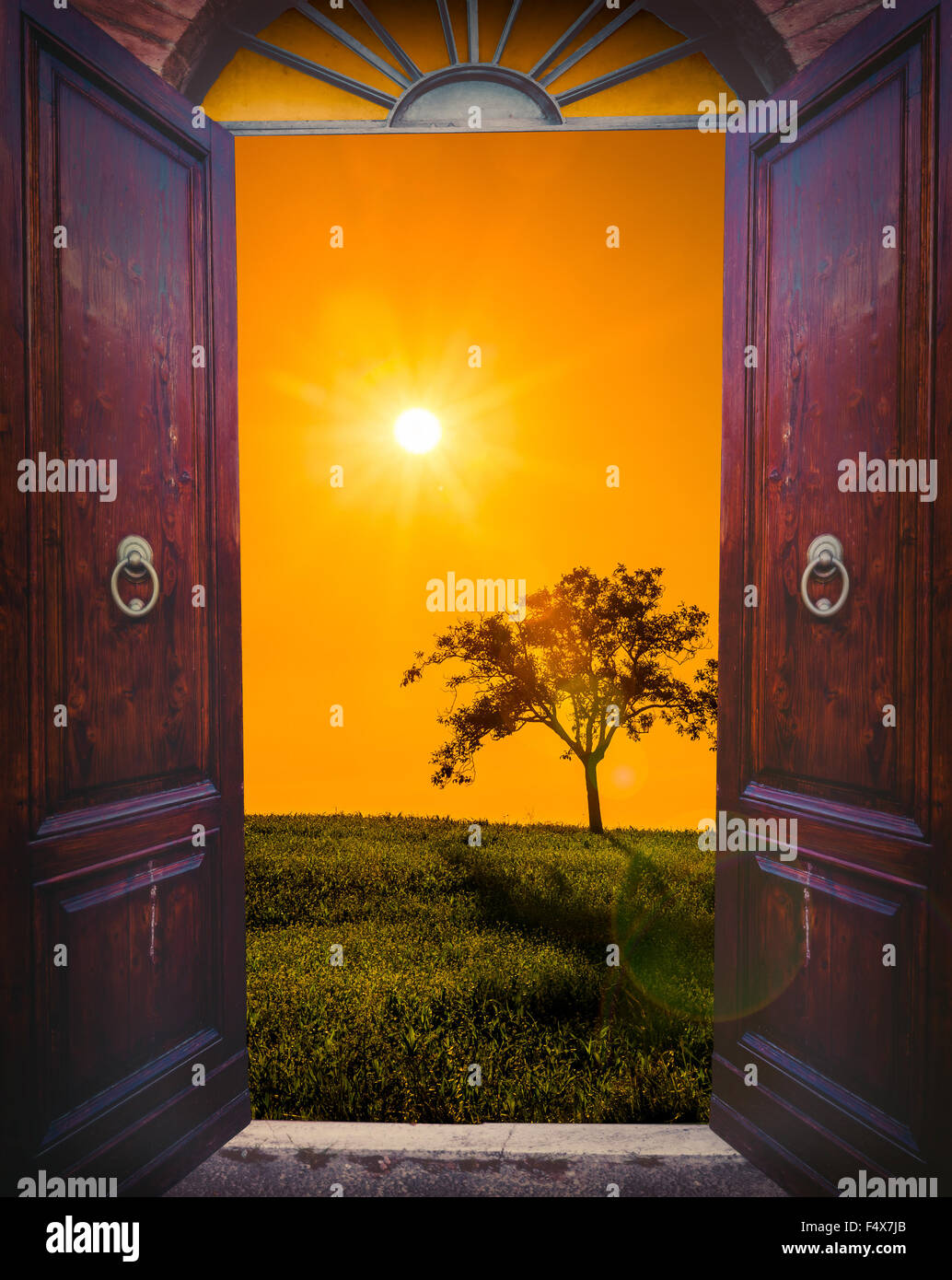 Old open door and sunset landscape with lonely tree Stock Photo - Alamy