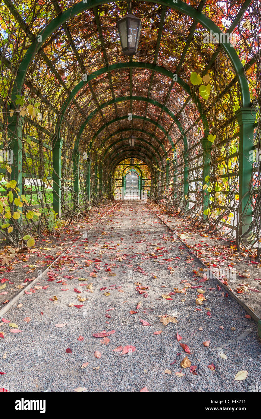 Pergola road hi-res stock photography and images - Alamy