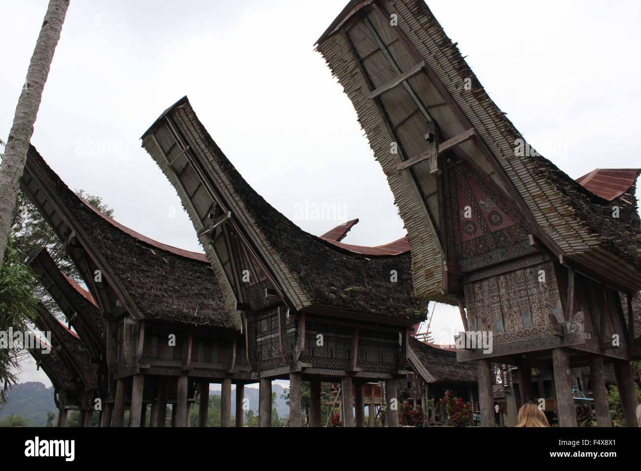 PALAWA, INDONESIA - JULY 3 2012: typical Torajan ethnicity ancestral ...