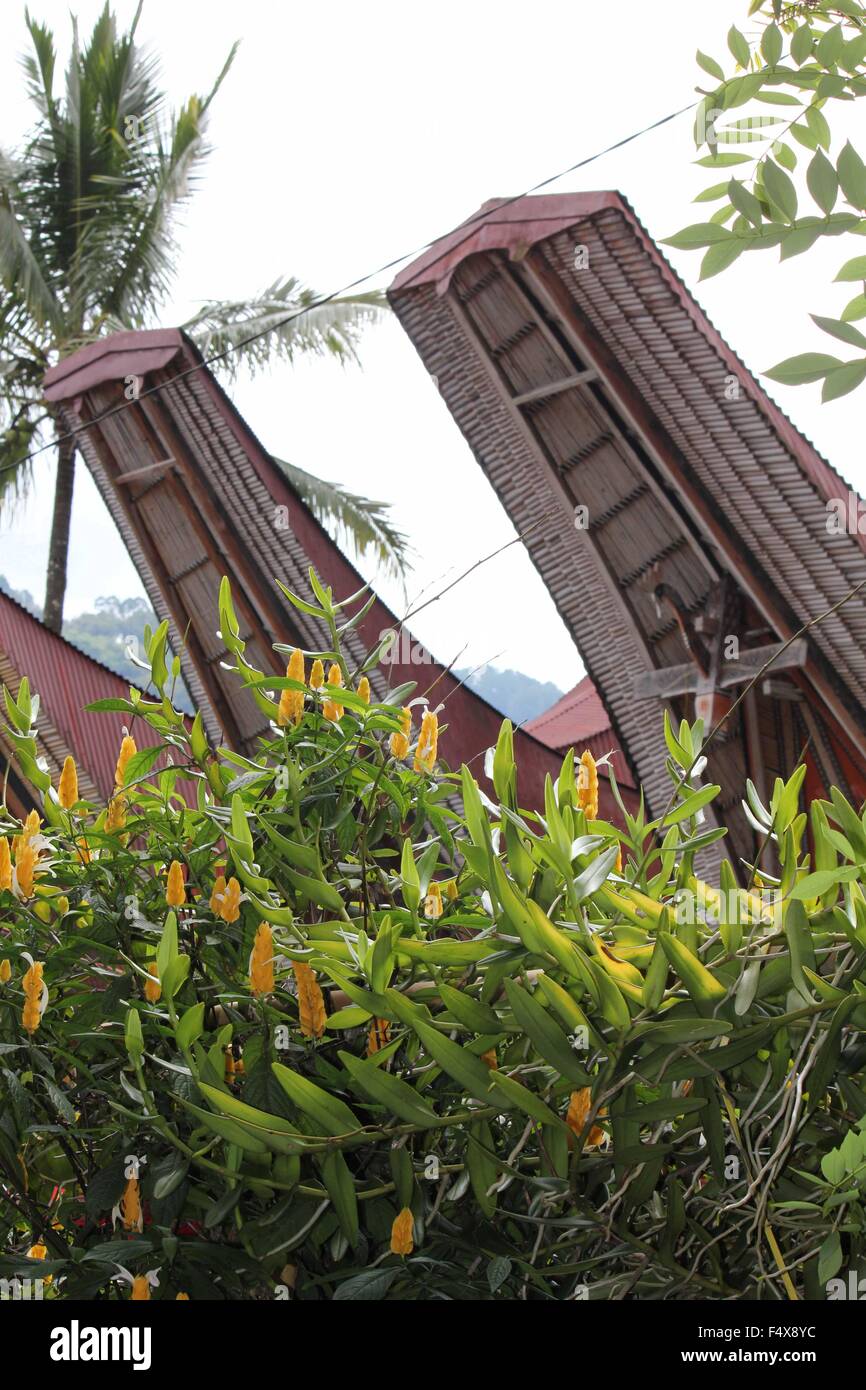 Boat shaped roof hi-res stock photography and images - Alamy