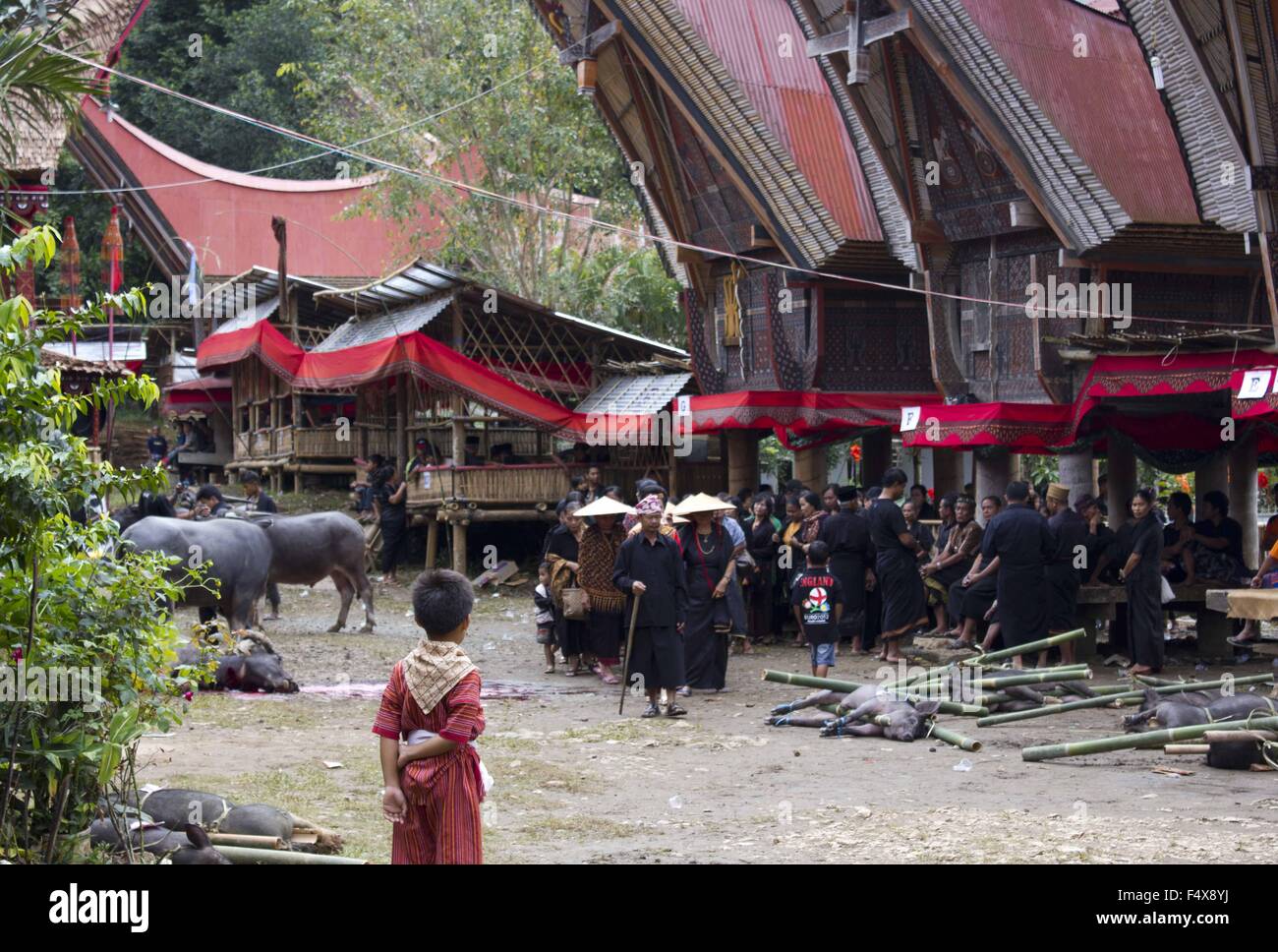 Typical toraja house hi-res stock photography and images - Alamy