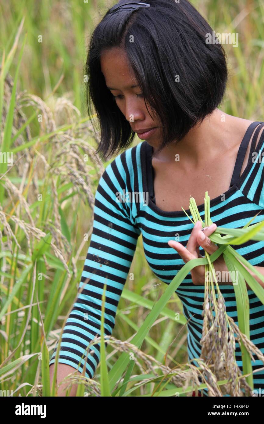 Pick up rice hi-res stock photography and images - Alamy