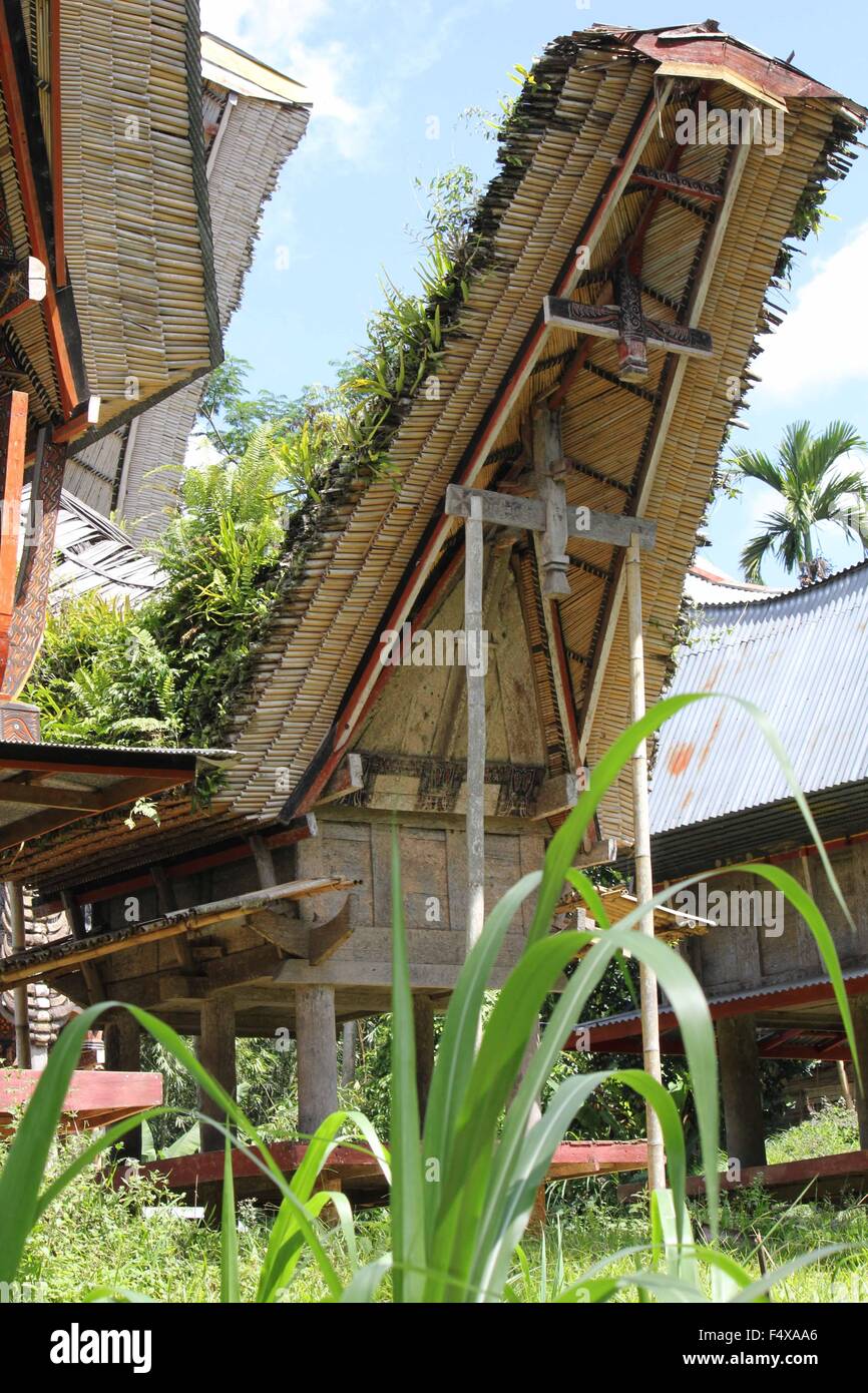 SOUTH SULAWESI, INDONESIA - JULY 4 2012: Close up architecture through ...
