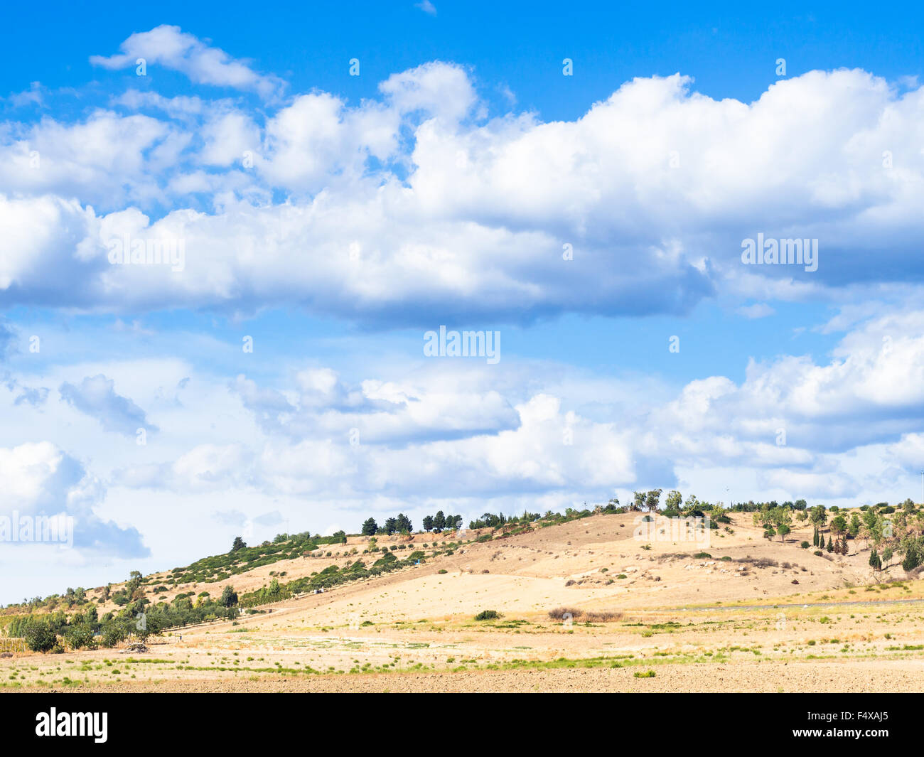 sardinia country wild. Yellow sardinian country in the summer Stock ...