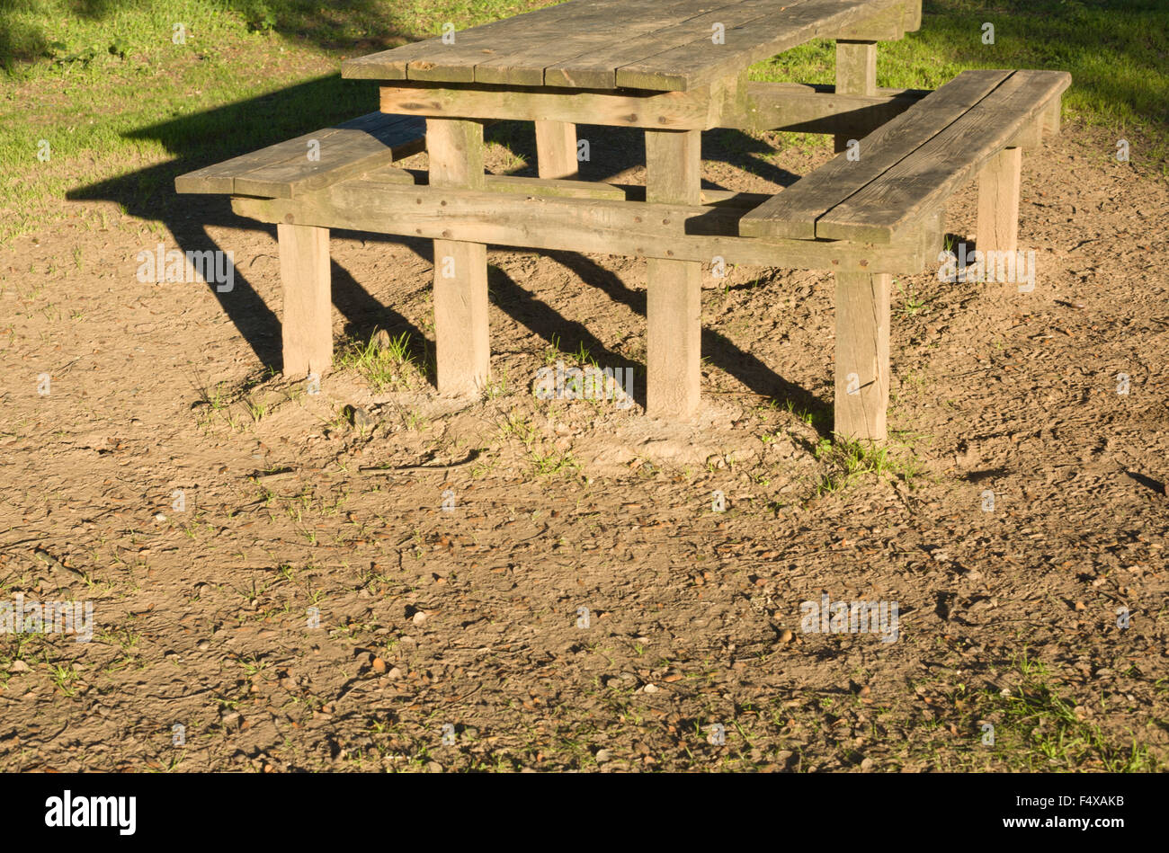 Wooden picnic table in field with trees at sunset on dehesa landscape ...