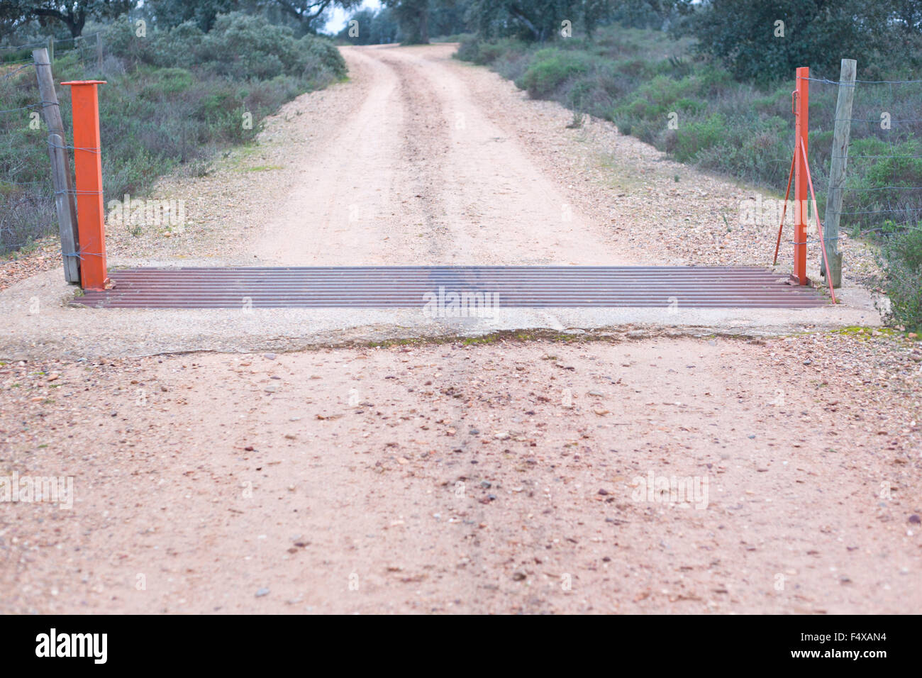 A cattle grid in a dirt track at dehesa landscape, Extremadura, Spain ...
