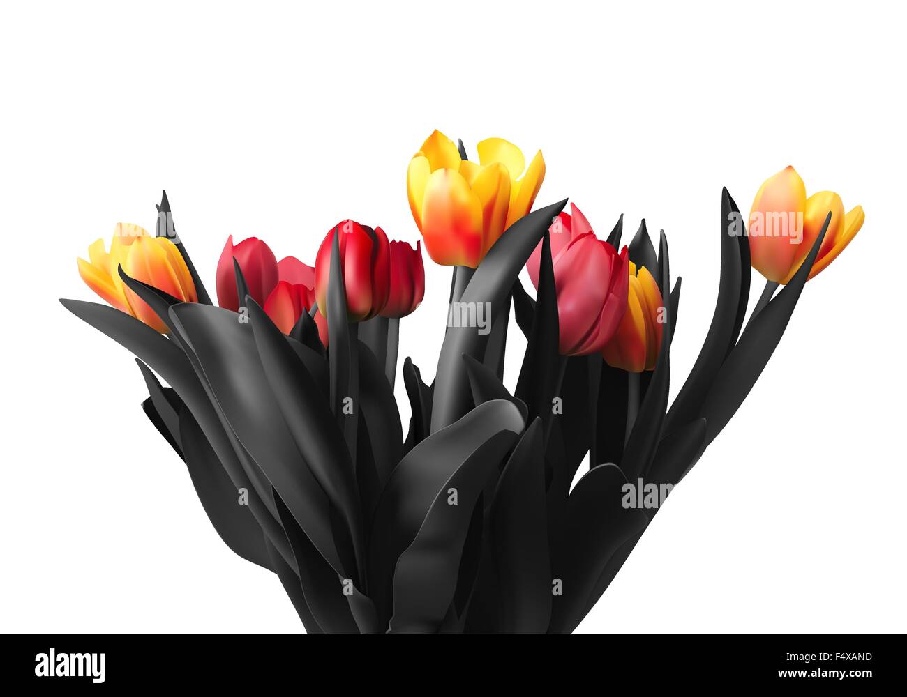 Bunch tulip bouquet flowers Stock Vector Images - Alamy