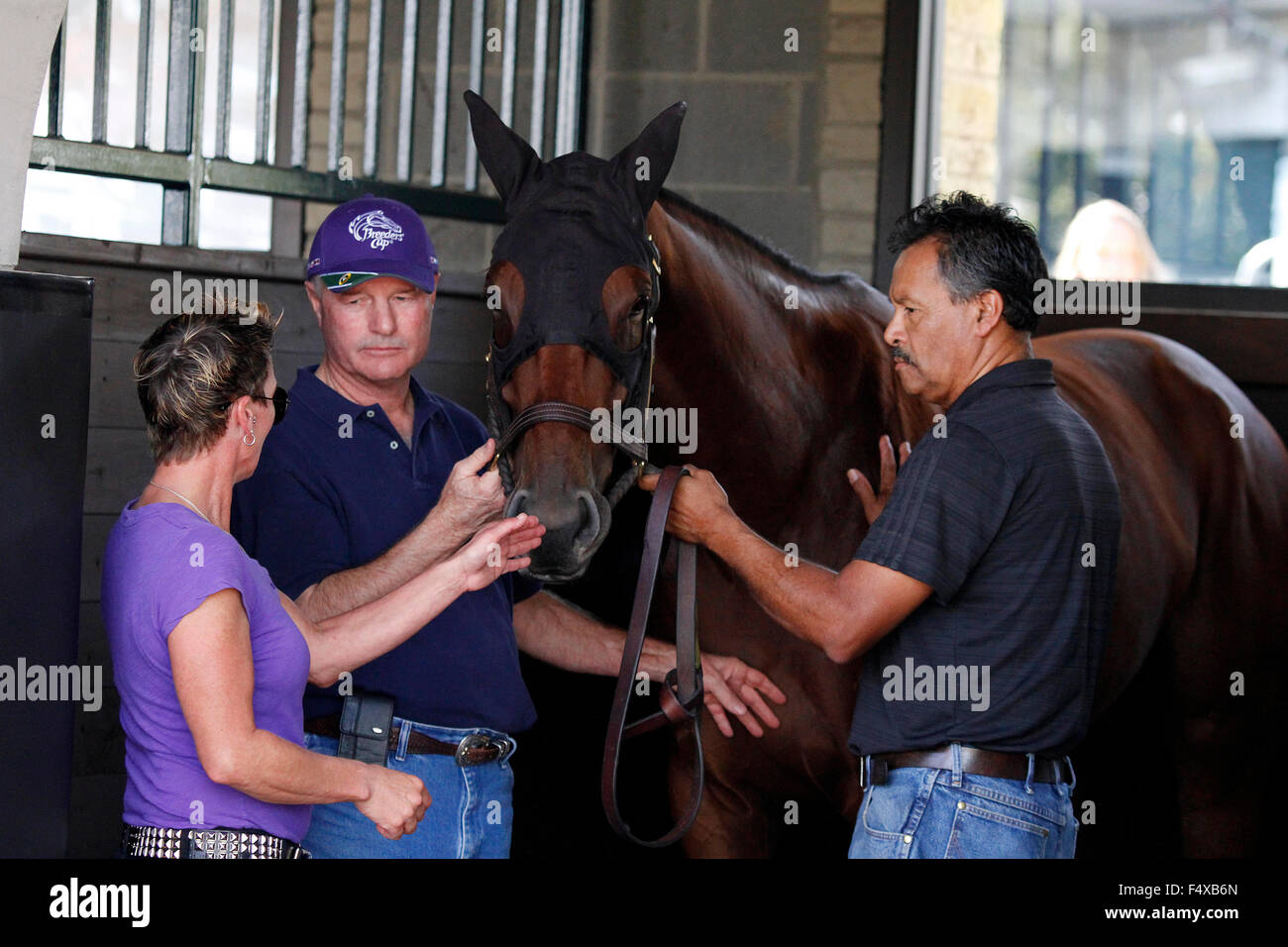 Lexington, KY, USA. 23rd Oct, 2015. October 23, 2015: Beholder ...