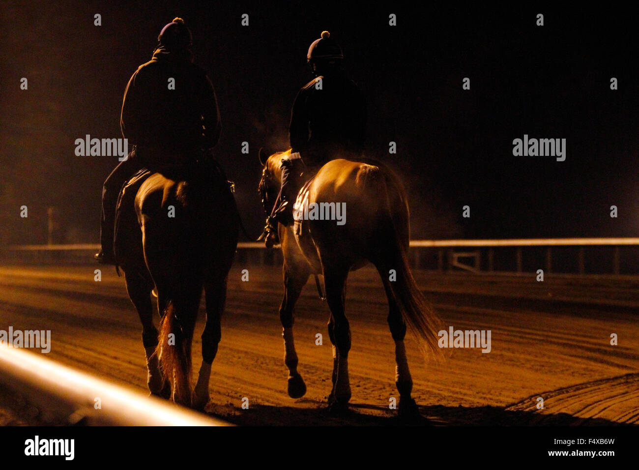 Tapiture Most Popular Photos