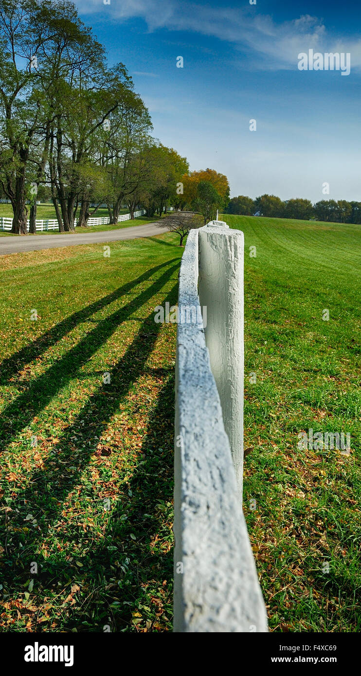 Rural farm fence looking parallel to fence line Stock Photo - Alamy