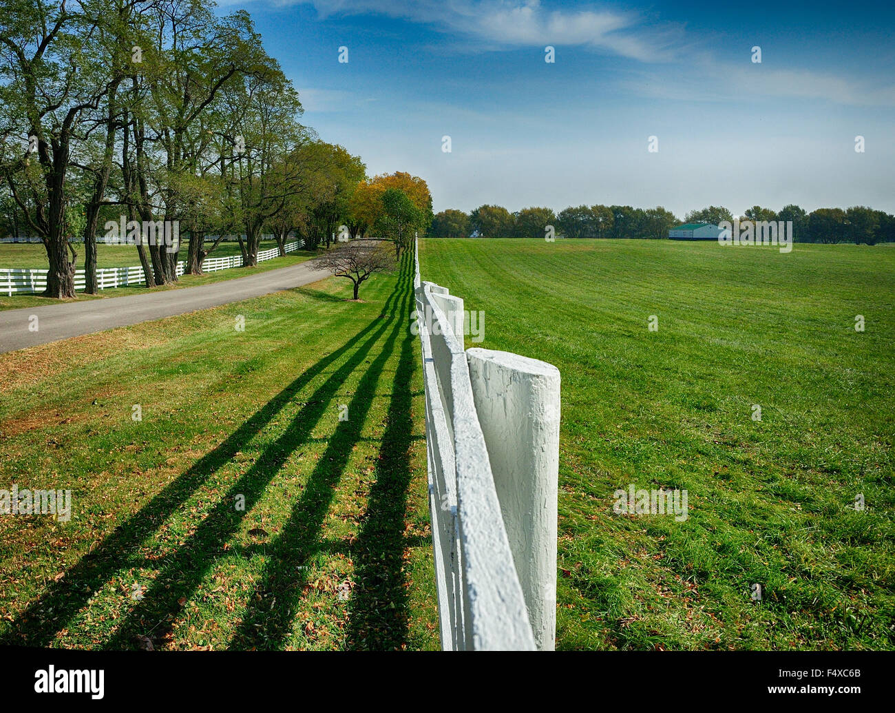 Rural farm fence looking parallel to fence line Stock Photo - Alamy