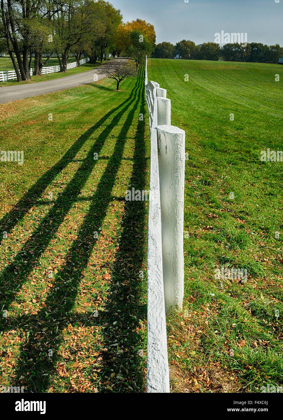 Rural farm fence looking parallel to fence line Stock Photo - Alamy
