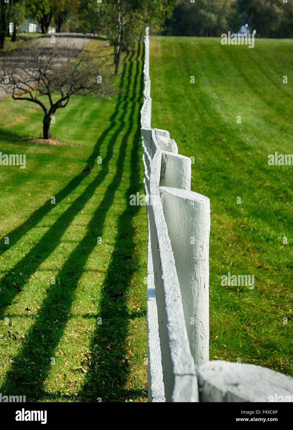 Rural farm fence looking parallel to fence line Stock Photo - Alamy