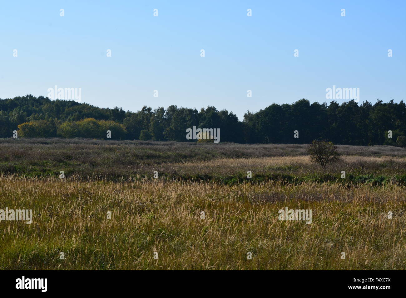 Landscape in Southern Germany Stock Photo - Alamy