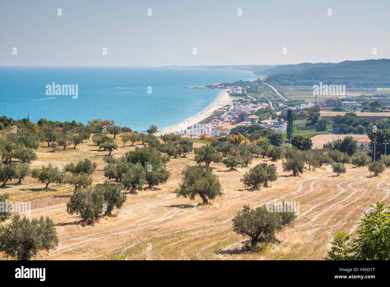 Oleificio Ursini Fossacesia Abruzzo