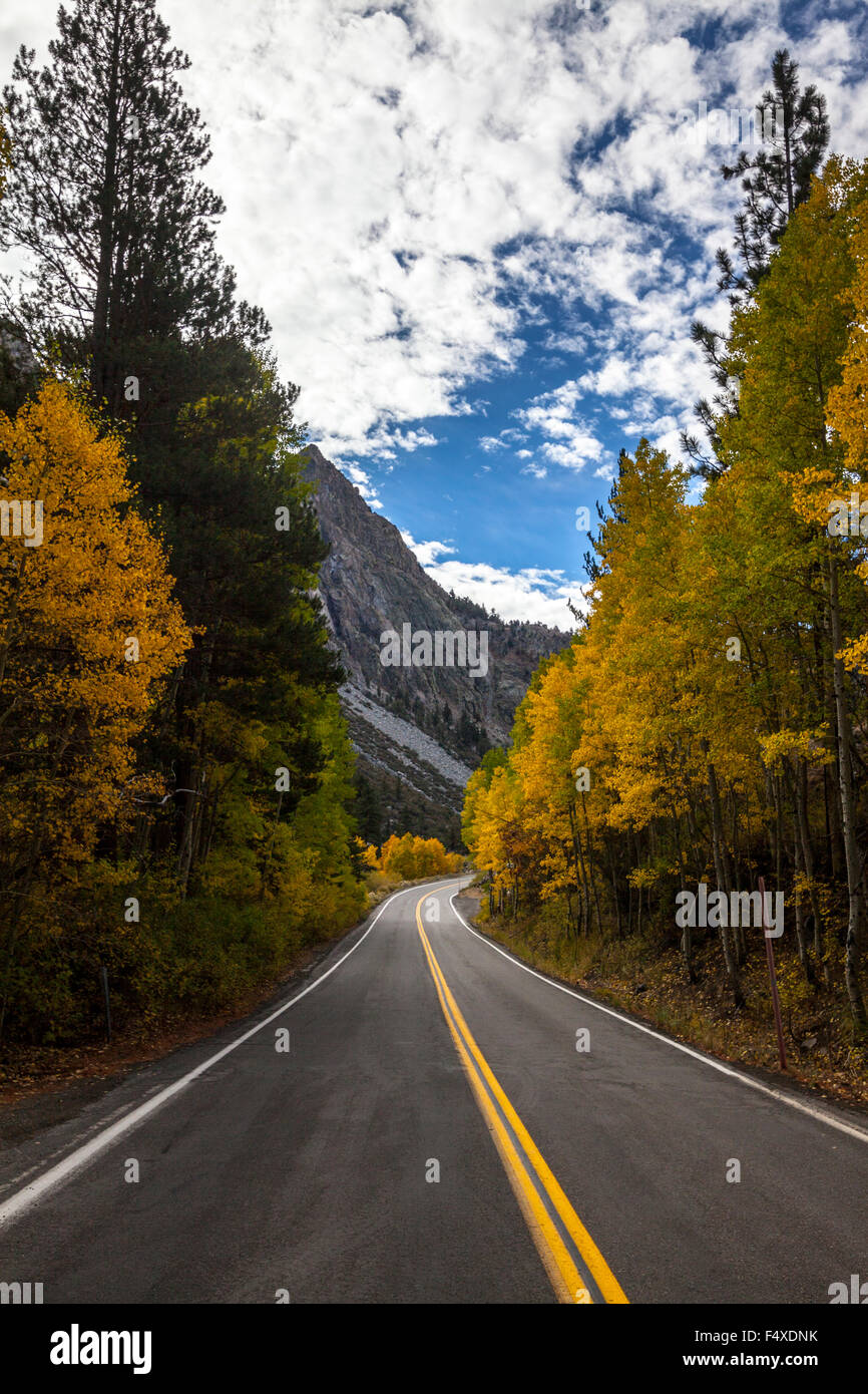 Fall color along Highway 158 in the Eastern Sierra Nevada mountains of ...