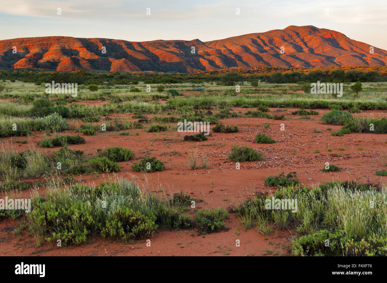 Macdonnell range hi-res stock photography and images - Alamy